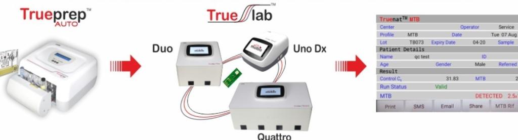 Truenat Mtb And Rif Assay Knowledge Base